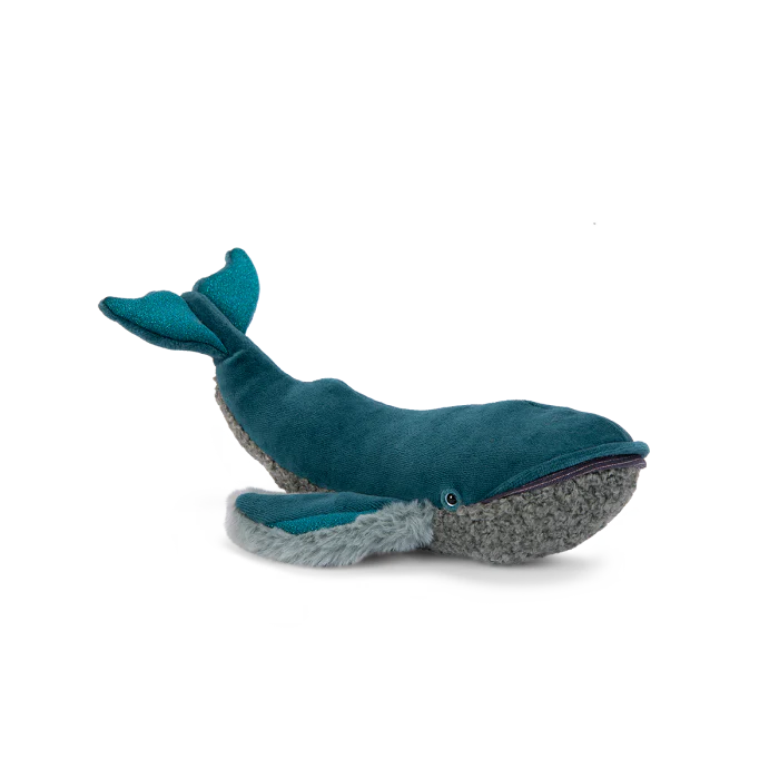 Small Whale Around The World – Stevenson's Toys & Games