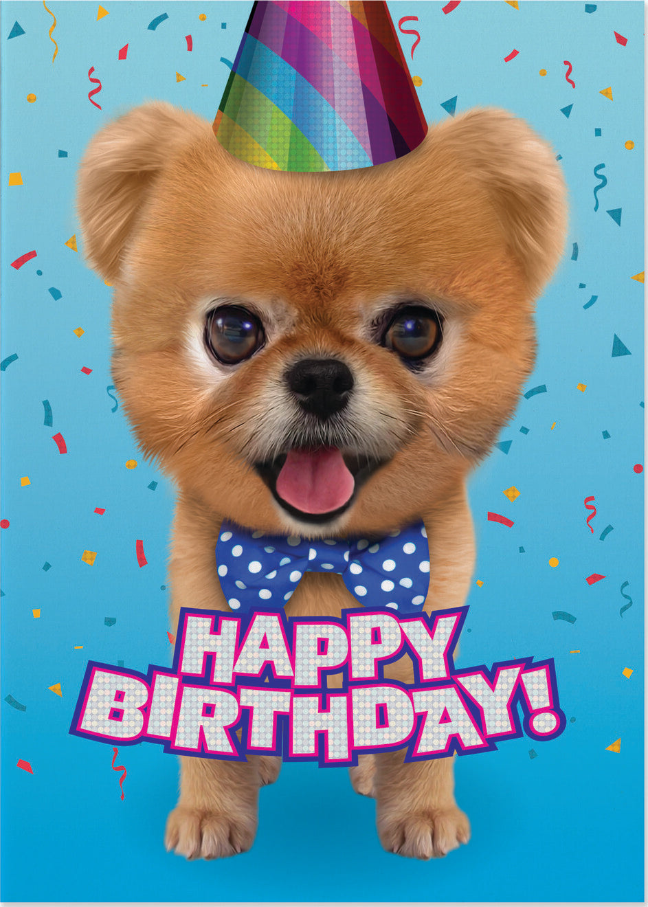 Teddy Bear Pomeranian Foil Card – Stevenson's Toys & Games