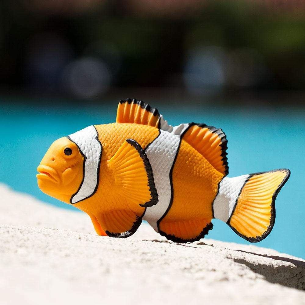 Incredible Creature Clown Anemonefish Toy – Stevenson's Toys & Games
