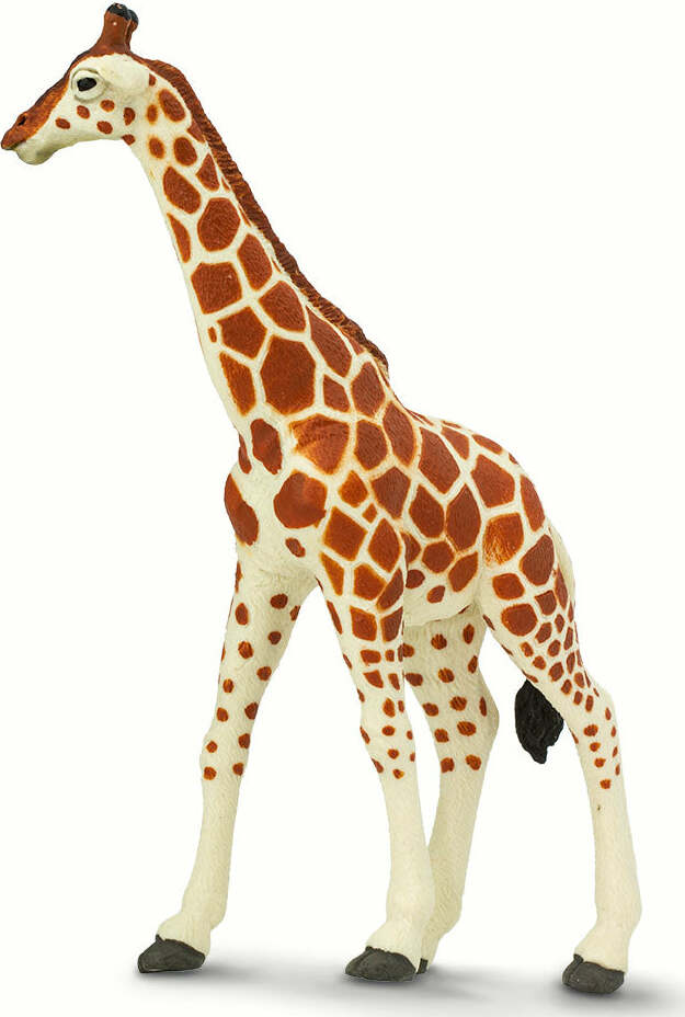 Safari Wildlife Reticulated Giraffe Toy – Stevenson's Toys & Games