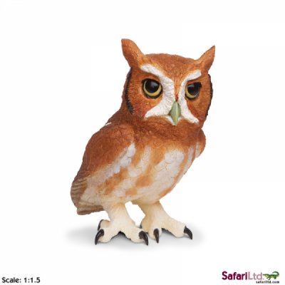 Incredible Creature Eastern Screech Owl – Stevenson's Toys & Games