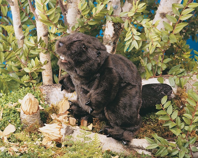 Beaver Hand Puppet – Stevenson's Toys & Games