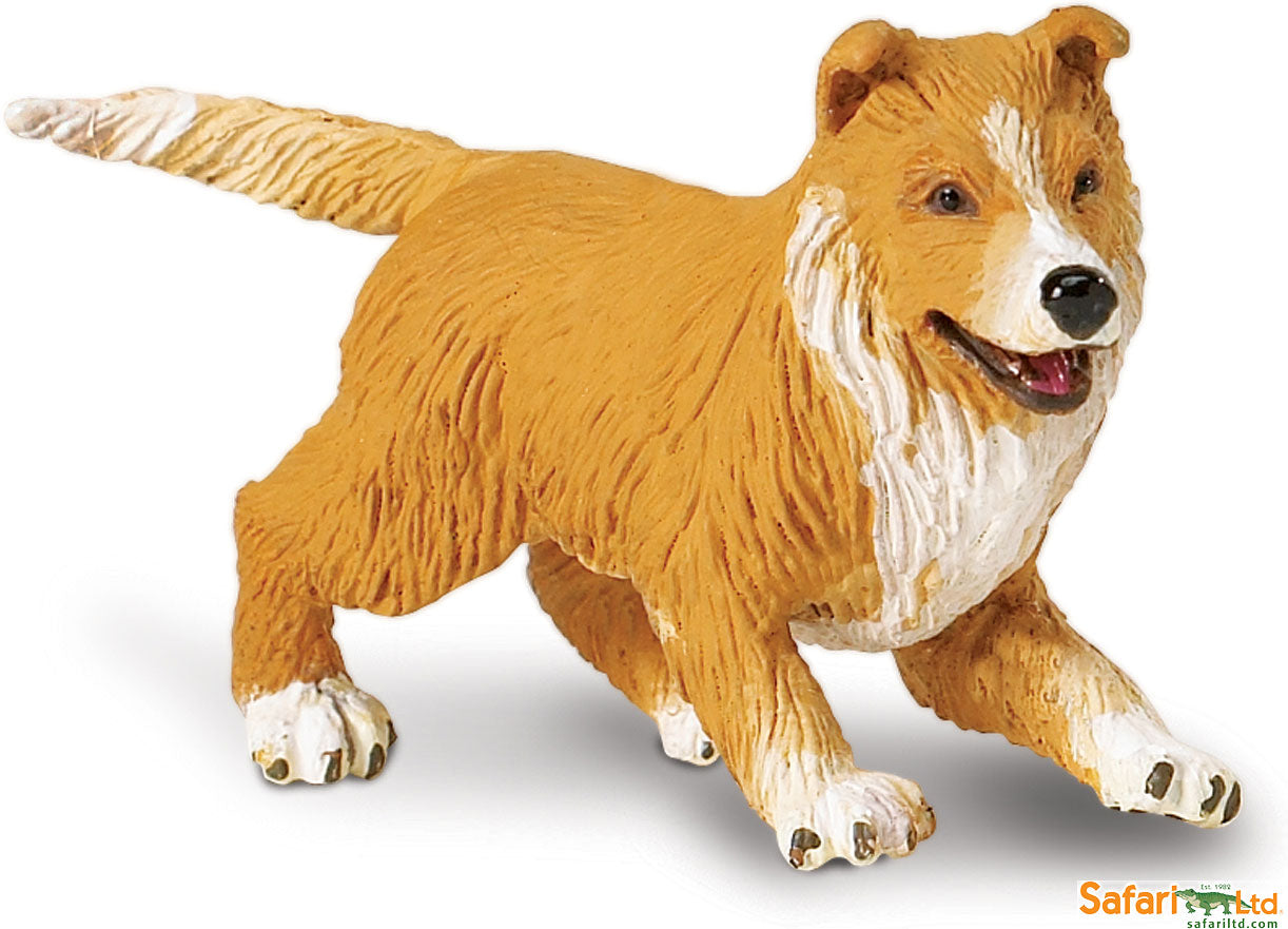 Dog Collie Puppy – Stevenson's Toys & Games
