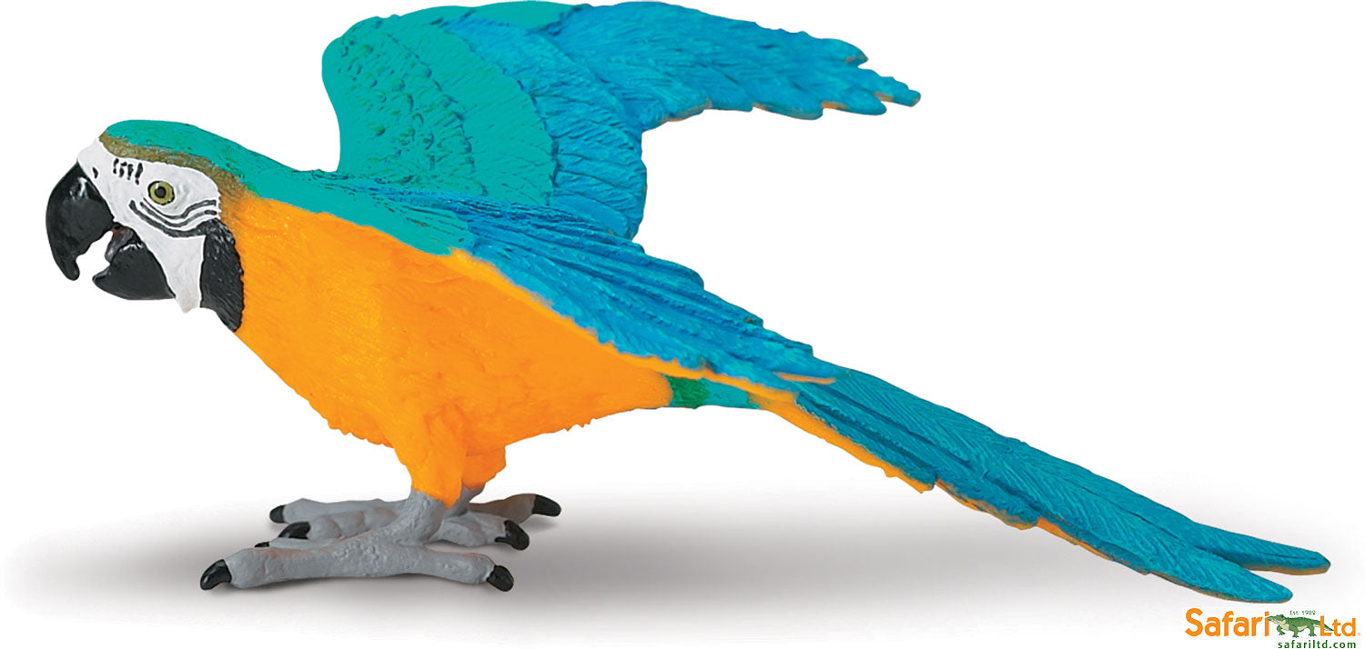 Bird Blue Gold Macaw – Stevenson's Toys & Games